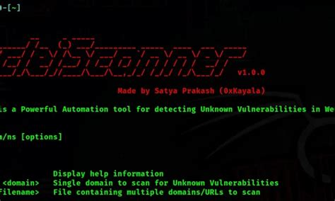 NucleiScanner web漏洞自动化工具扫描工具 雨苁ℒ