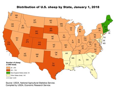 Distribution Of Us Sheep By State January 1 2018 Economic