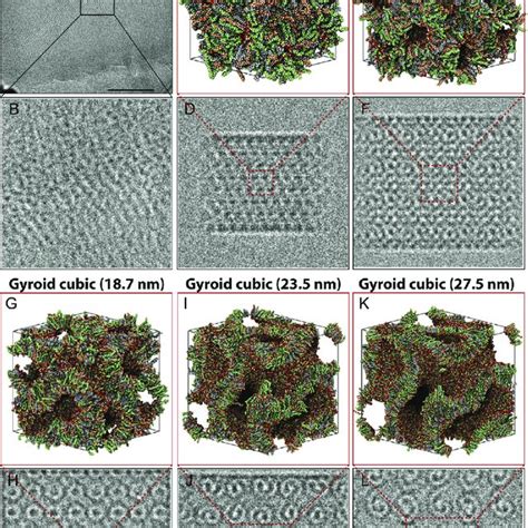 Molecular Dynamics Model Building Procedure A B Molecular Dynamics