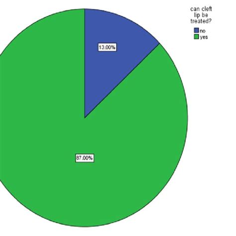 Pie Chart Represents The Percentage Of Yes And No Responses Given