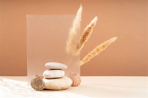 전시회 및 제품 프레젠테이션을 위한 연단 재료 돌 나무 유리 마른 가지 천연 소재로 만든 아름 다운 베이지 색 배경입니다 구도가 있는 추상적인 자연 장면 가을 단풍에 대한