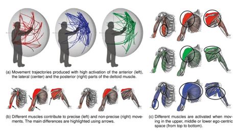 Human Pose Detection Samim Medium