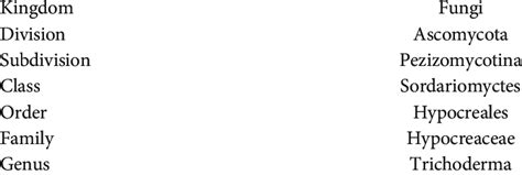 The Classification Taxa Of Trichoderma [11] Download Scientific Diagram