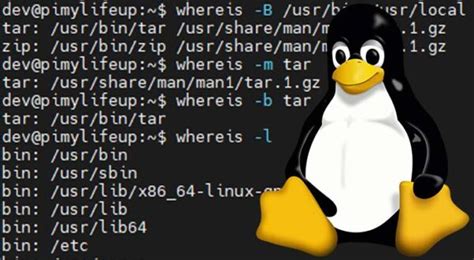 The Mkdir Command On Linux Pi My Life Up