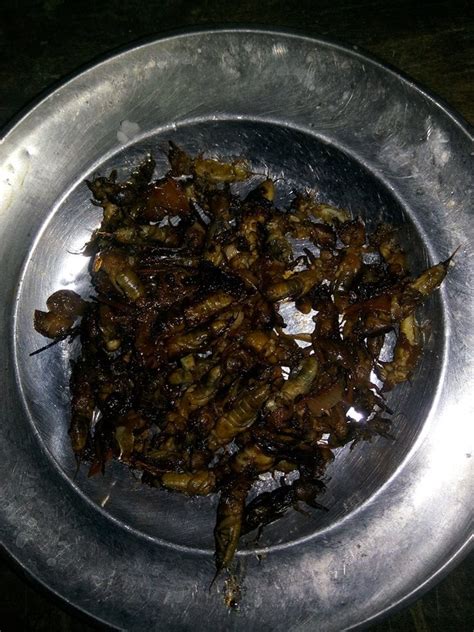 Yummy Ararawan For Lunch R Philippines