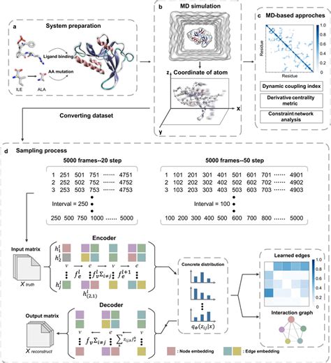 the process of inferring an interaction graph by reconstructing an md