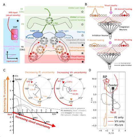 Optimal Cue Integration In The Cx A Proposed Model For Optimally Download Scientific Diagram