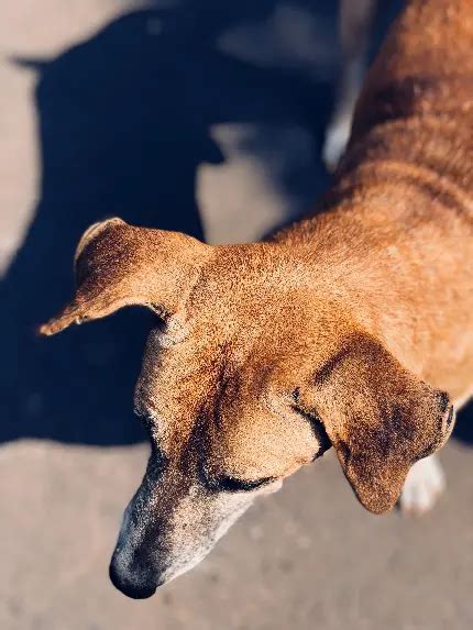 عکس کوهنوردی و طبیعت با کیفیت اچ دی برای دانلود رایگان