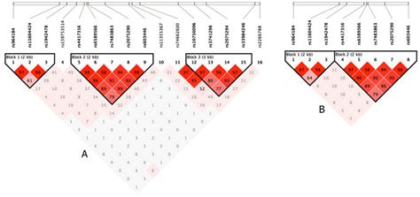 D Structure Based On Two Stage Data The Ld Blocks Are Indicated As