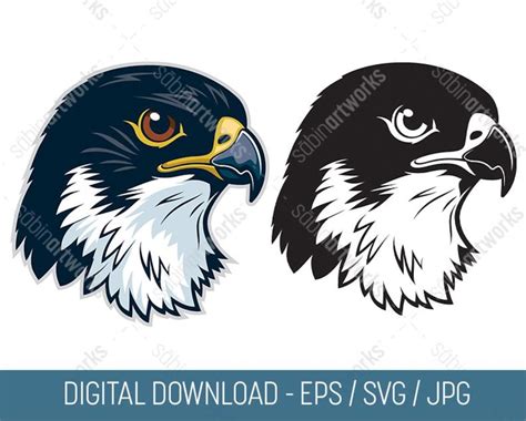 Falcon Head Vector Clipart Bird Of Prey Illustration Digital Download
