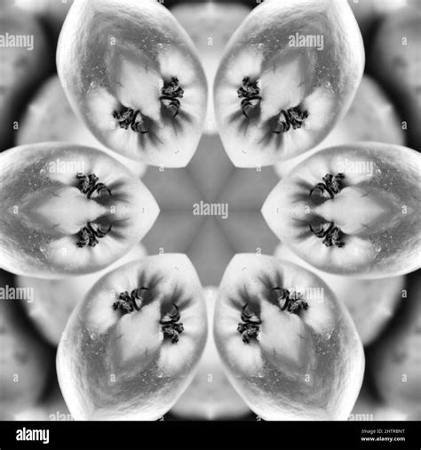 Abstract Computer Generated Fractal Design A Fractal Is A Never Ending