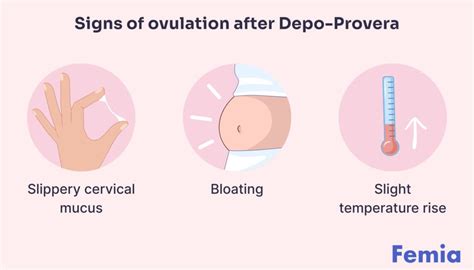 Signs Of Pregnancy After Depo Provera Femia Health