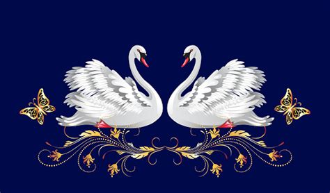 한 쌍의 흰색 백조와 빈티지 황금 장식품이있는 장식용 카드 백조에 대한 스톡 벡터 아트 및 기타 이미지 백조 우아 금색