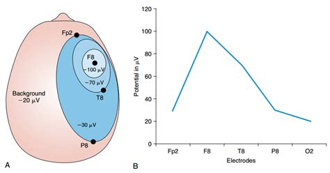 An Example Of Scalp Potential Download Scientific Diagram
