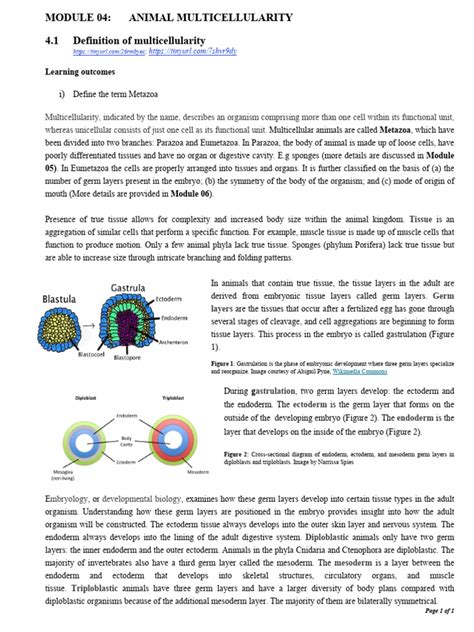 Szl 111 Module 04 Lecture Notes Section 41 Definition Of