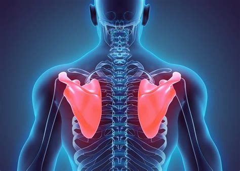 Scapulothoracic Bursitis Shoulder Specialist Van Nuys Thousand Oaks Los Angeles Ca