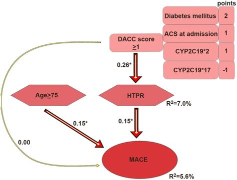 Paths From Independent To Dependent Variables Represent Standardized