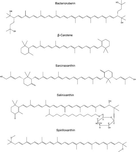 Structures Of Carotenoids Of Investigated Microorganisms Download