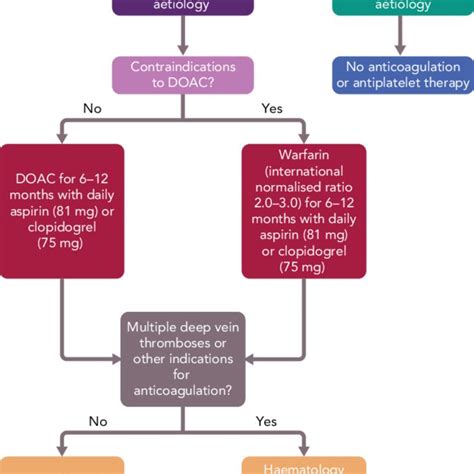 Recommended Algorithm For Anticoagulation After Venous Stent Placement