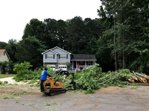Simple Guide To Pruning Trees Boost Health And Growth Easily
