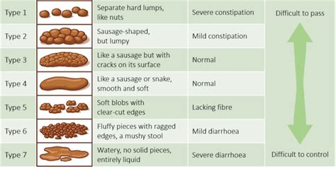 From Stool To Your Digestive Health Ageingray