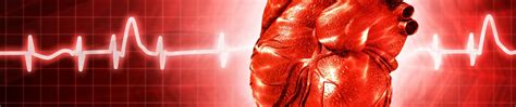 Heart Disease Dataset Kaggle