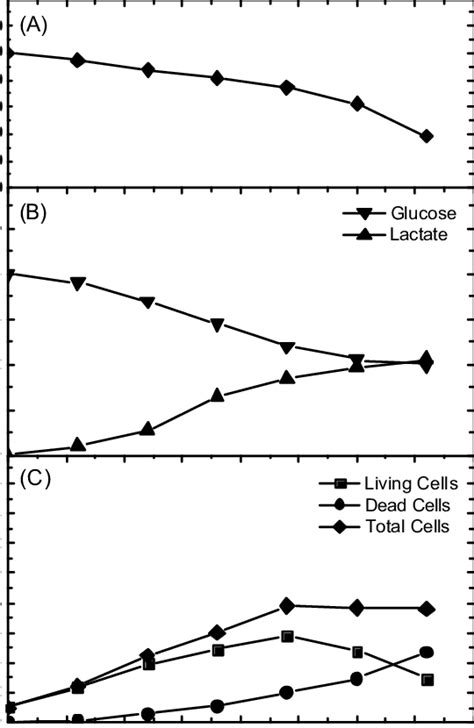 Time Profile Of Cell Growth Glucose Consumption And Lactate Production Download Scientific