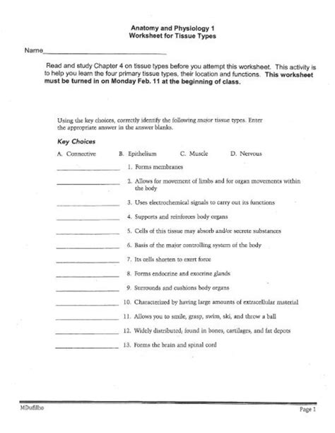 Anatomy And Physiology Tissues Worksheet Anatomy Worksheets