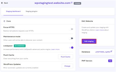Introducing The Hostinger Wordpress Staging Tool