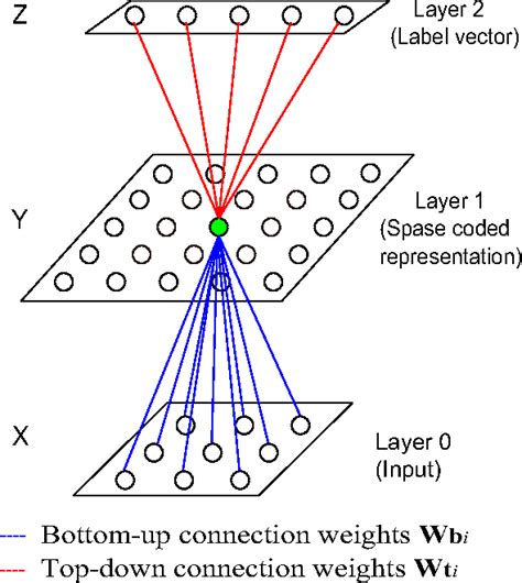 Figure 1 From Hierarchical Discriminative Sparse Coding Via Bidirectional Connections Semantic