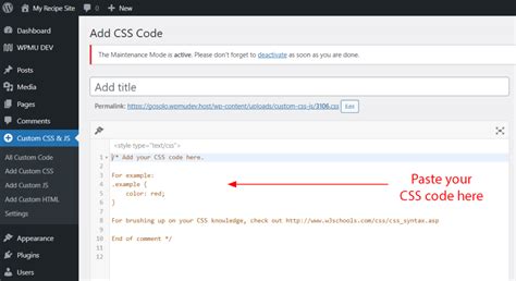 How To Add Custom CSS To Your WordPress Site 3 Methods Explored
