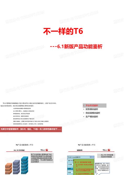 用友t6软件功能介绍PPT模板下载 编号lpagbxrr 熊猫办公
