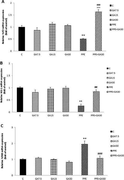 A D Nrf2 Ho 1 And Nf κb Mrna Expression In Lung Tissue Of Control