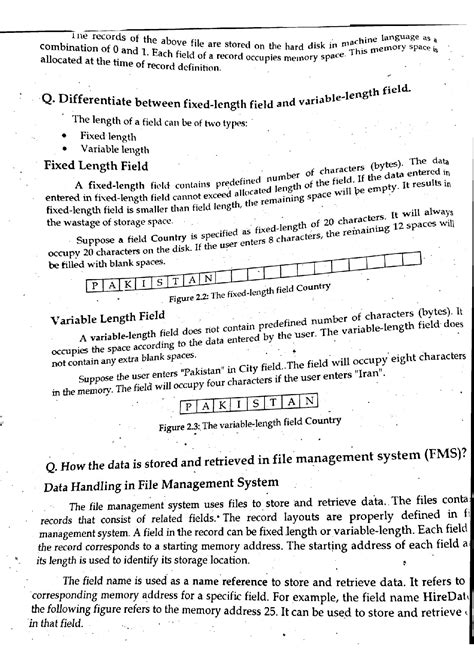 SOLUTION Basic Concepts And Terminology Of Database Studypool