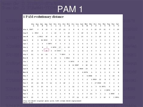 Ppt Pairwise Sequence Alignment Powerpoint Presentation Free
