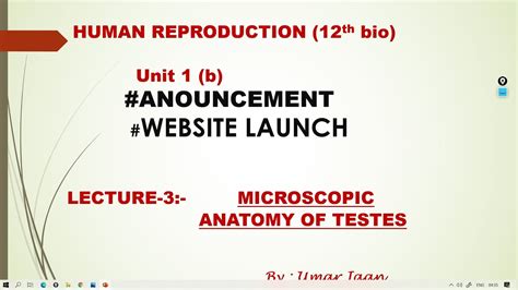 Microscopic Anatomy Of Testes Layers Of Testes Youtube