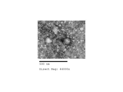 Exosome Isolation Reagent From Life Technologies Biocompare Com Kit Reagent Review