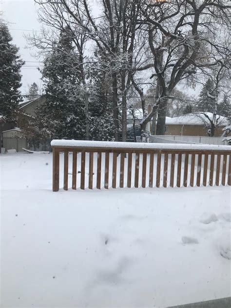Hyder squeaker on Twitter 刚想说今年入冬还没怎么下过雪就一夜之间天地俱白了的估计再见我家露台地面要到明年三月