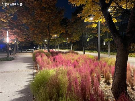 밤에도 좋다 서울숲 숨은 야경명소 산책코스