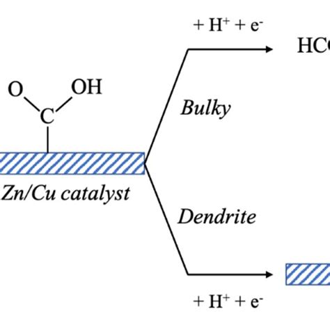 Proposed Reaction Pathways For Co2rr Over Dendritic And Bulky