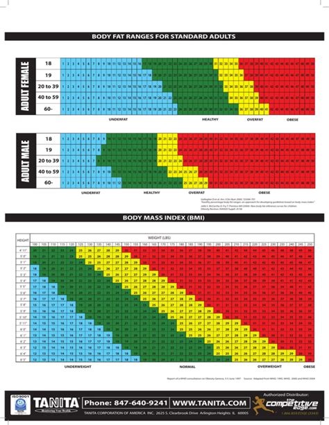 Body Fat Percentage Normal Range At Dara Patao Blog