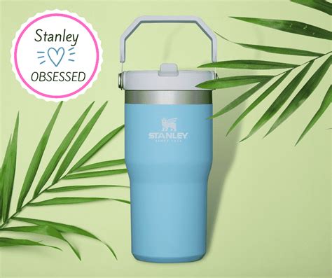 Stanley Mug Promo Code At Dorathy Quinones Blog