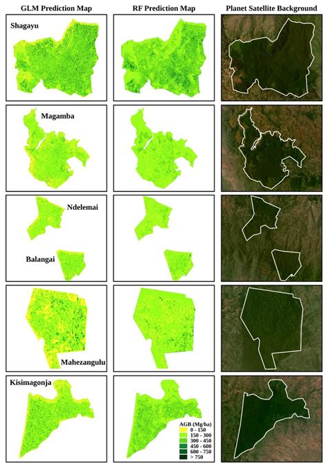 Agb Prediction Maps For Each Of The Forest Based On Glm And Rf