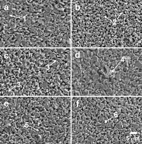 Representative Sem Micrographs Obtained On The Surfaces Of The