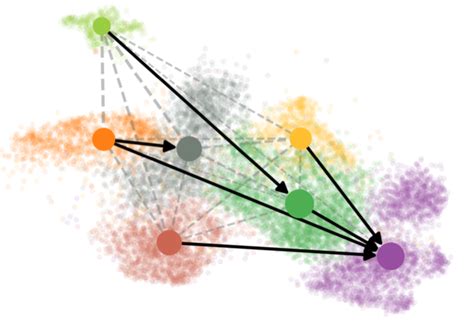 the direction of paga graph is inconsistent with the stream plot · issue 456 · theislab scvelo