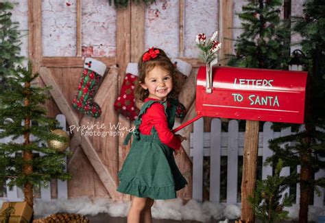 Kate Christmas Winter Snow Fence Door Backdrop For Photography