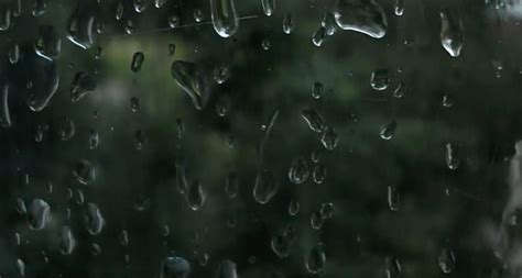 Живые обои природа Капли дождя на стекле