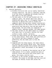 Assessing Female Genitalia An In Depth Examination Course Hero