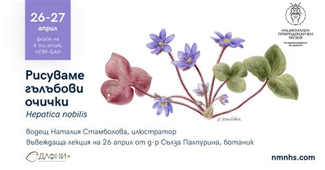🗺🎫Пътешествайте сред колекциите на Националния природонаучен музей при БАН с КОСМОС 🪐в ръка От