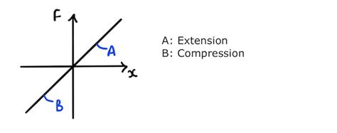 Hookes Law And Deformation Of Objects For A Level Physics Science